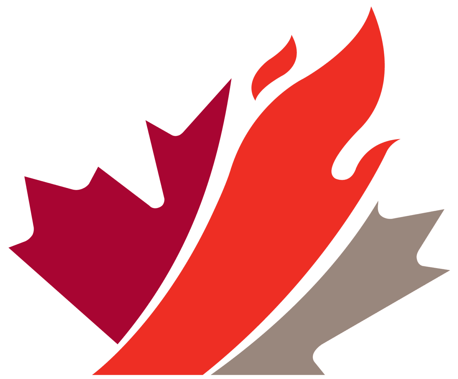 Scholarship & Awards | Canadian Nurses Foundation